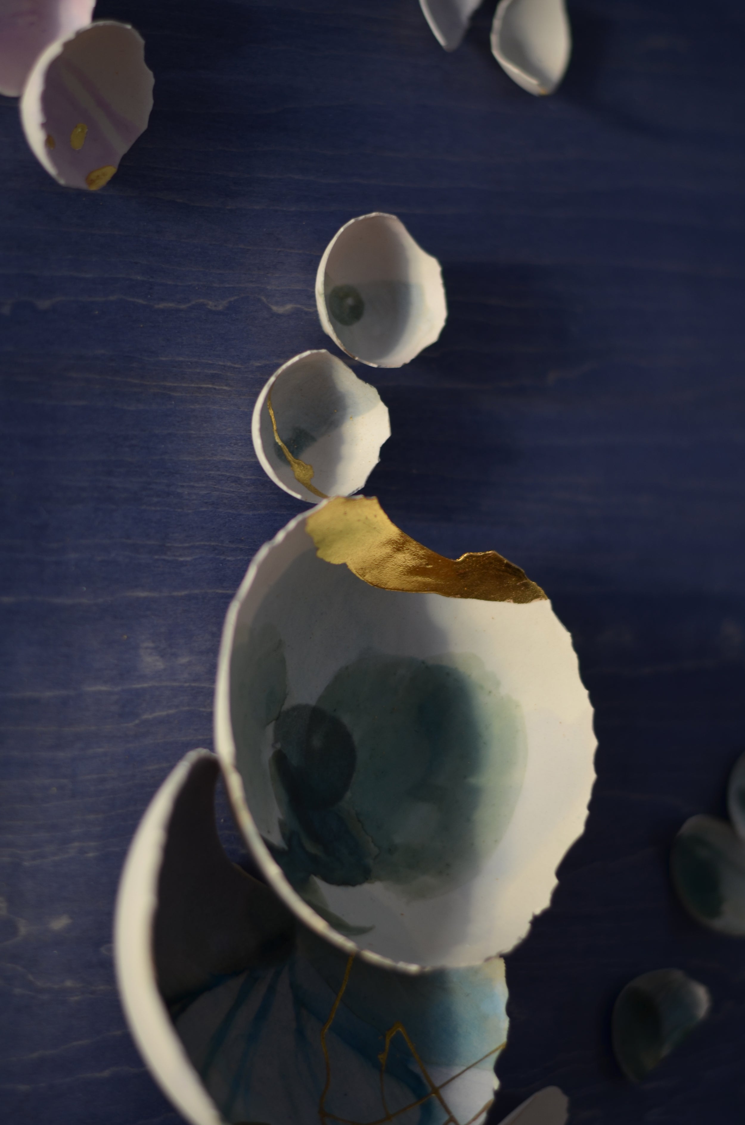 Porcelain Installations – Elisa Sheehan Fine Art